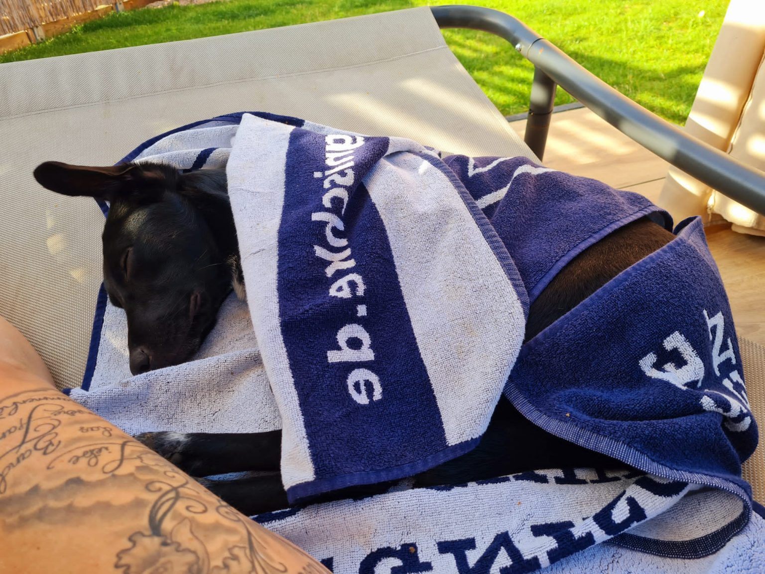 Jungnischke Bedachungen - Wir stellen unsere Dachdeckerei vor